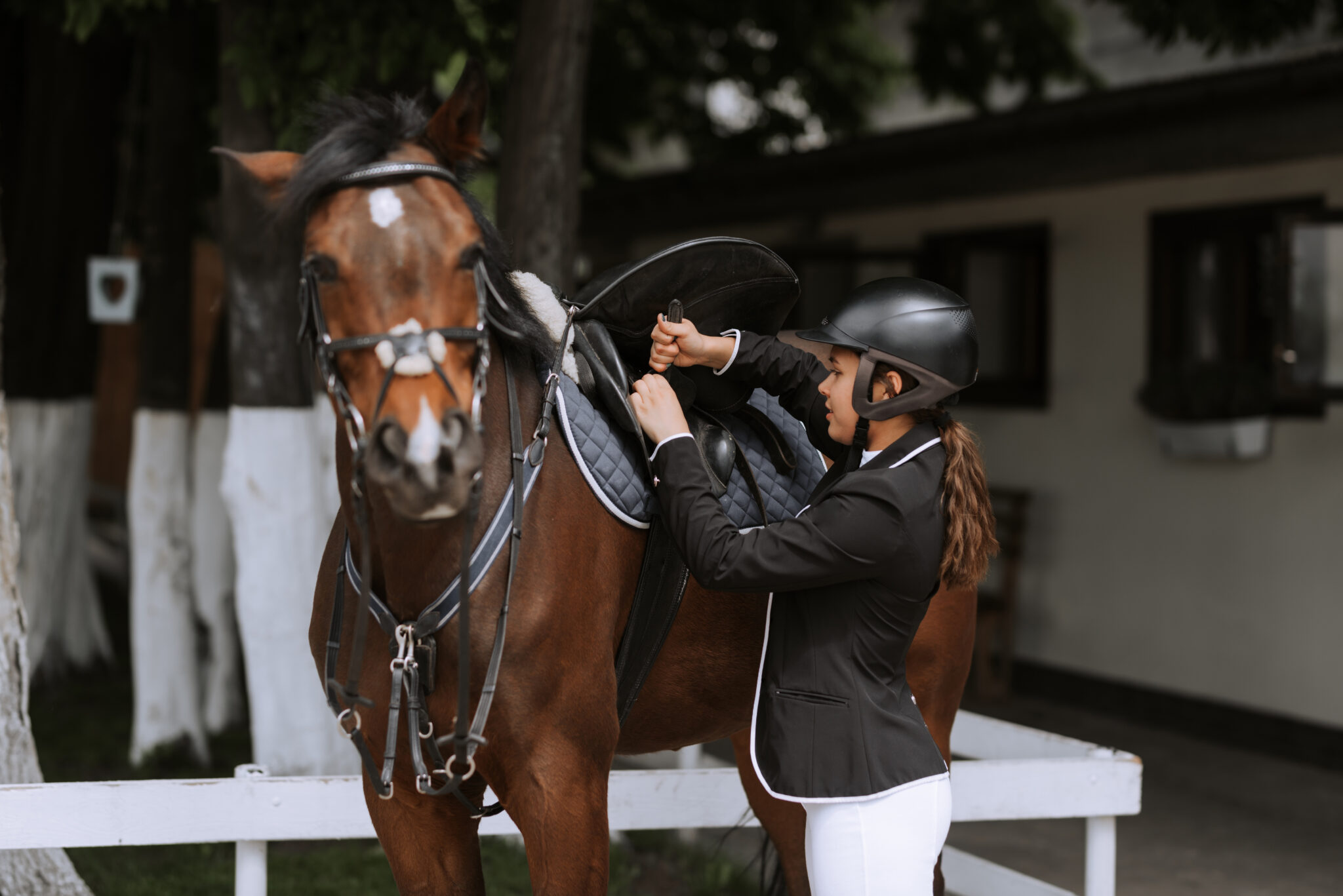 Livery Yard Insurance - Brown & Brown