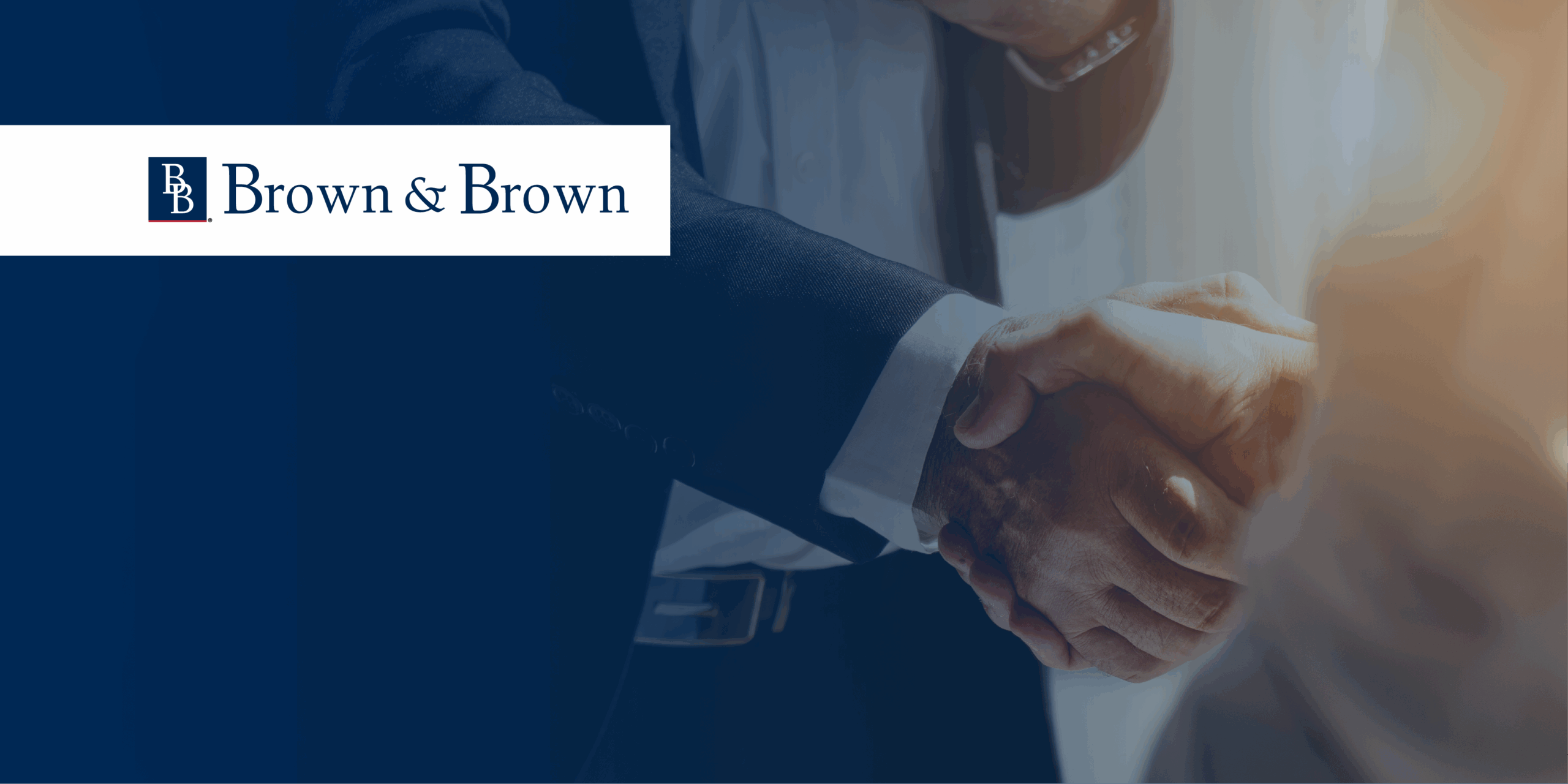 Portfolio Program Solution - Brown & Brown